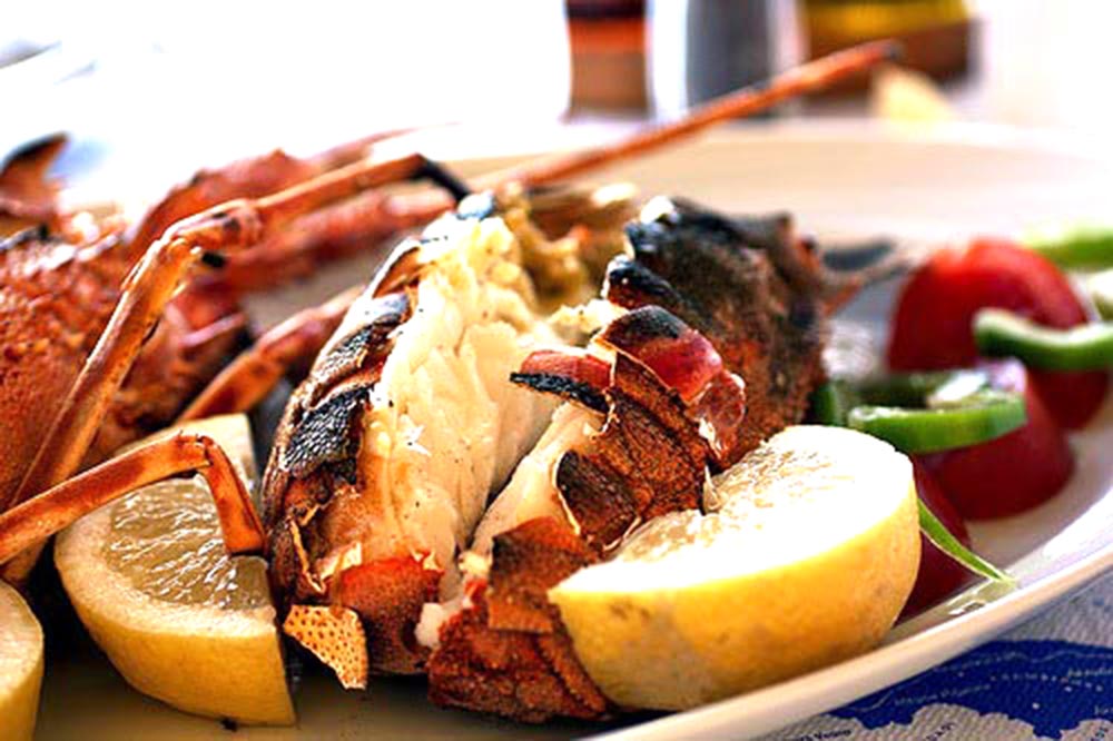 Gallery | Restaurant in Ammoudi Santorini, Oia | Dimitris Taverna