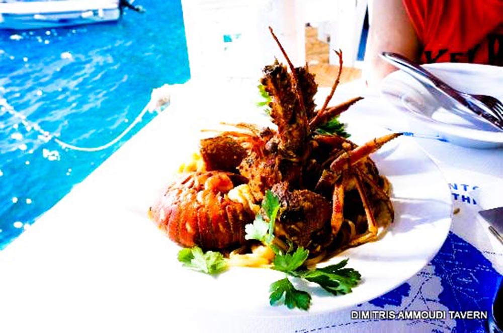 Gallery | Restaurant in Ammoudi Santorini, Oia | Dimitris Taverna