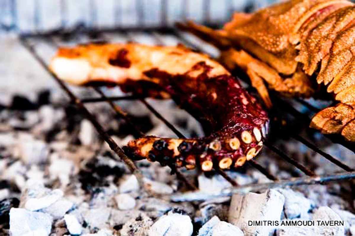 Gallery | Restaurant in Ammoudi Santorini, Oia | Dimitris Taverna