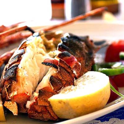 Gallery | Restaurant in Ammoudi Santorini, Oia | Dimitris Taverna